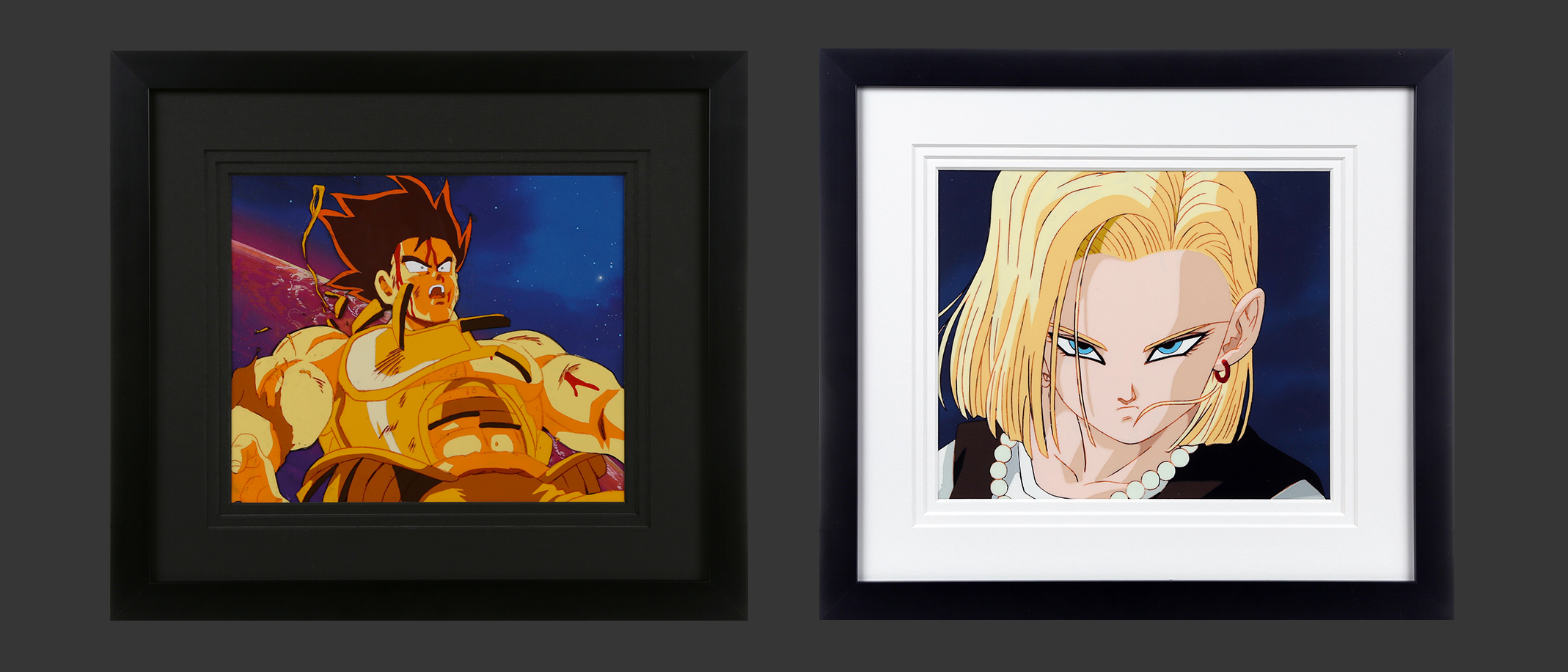 Frame Kits Standard Sizes – Cel Oasis